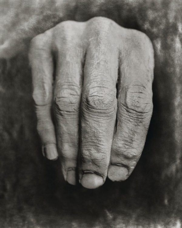 Robert Stivers & Andrea Senutovitch - Webster Collection